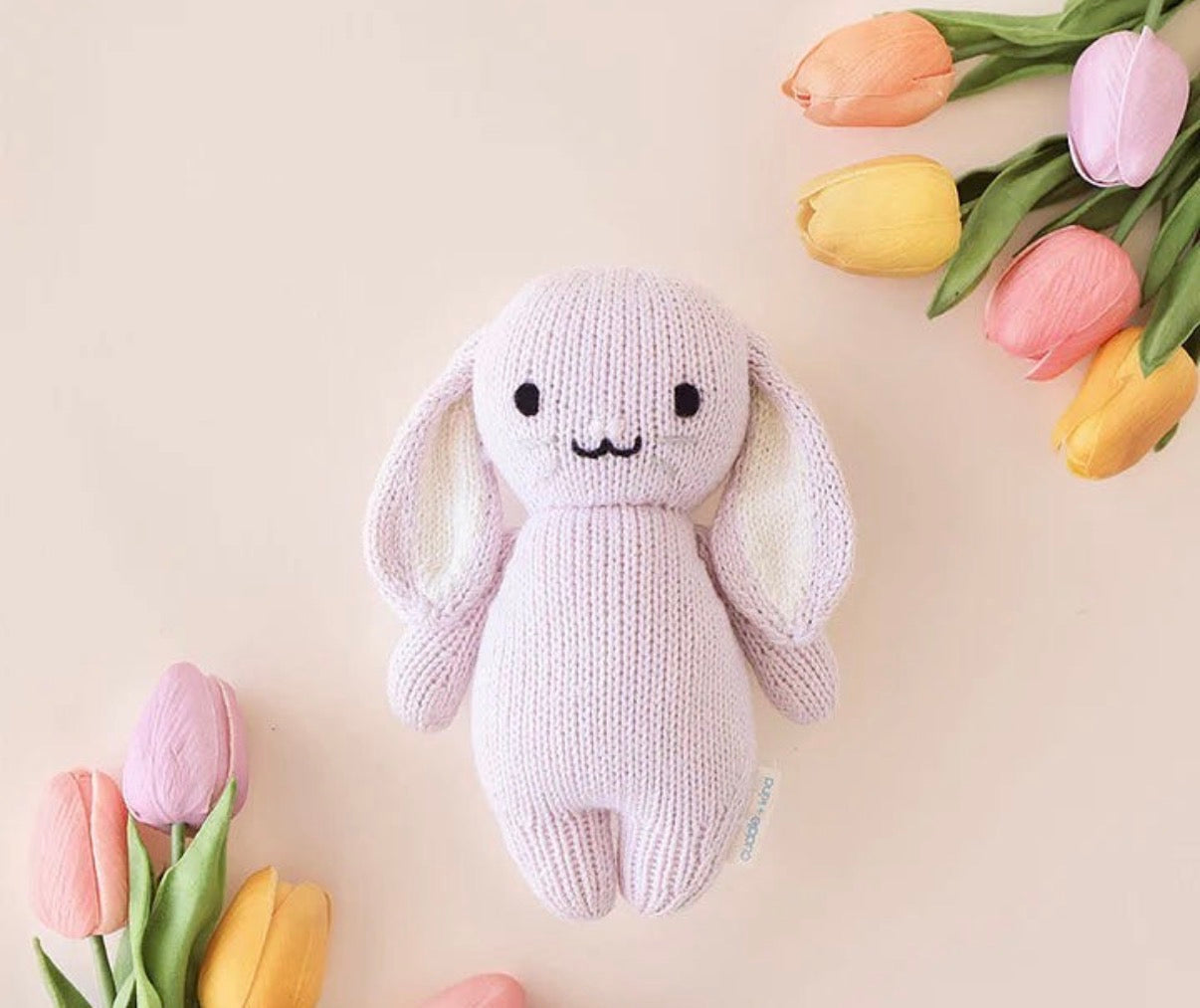 Spring – Little Barn Baby