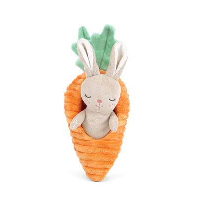 Bunny in Carrot Activity Toy – Little Barn Baby